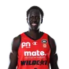 Perth Wildcats Offical Website